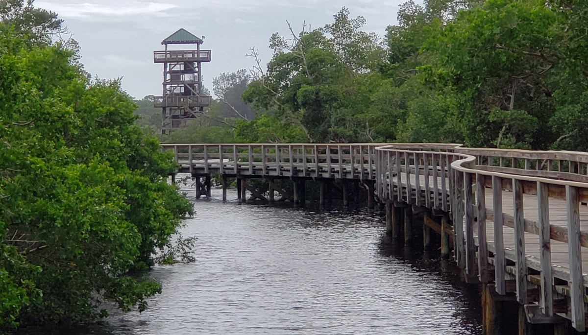 When Manatee Attack: fighting off mud, tolerating a storm named Nestor ...